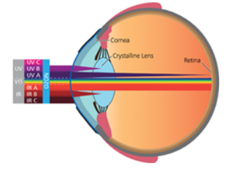 Consejos de cuidado al sol: cómo puede afectar a nuestros ojos ...